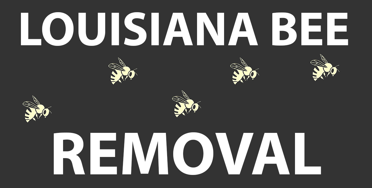 Bee Removal - Get Rid of Bees - LA Bee Removal Specialists